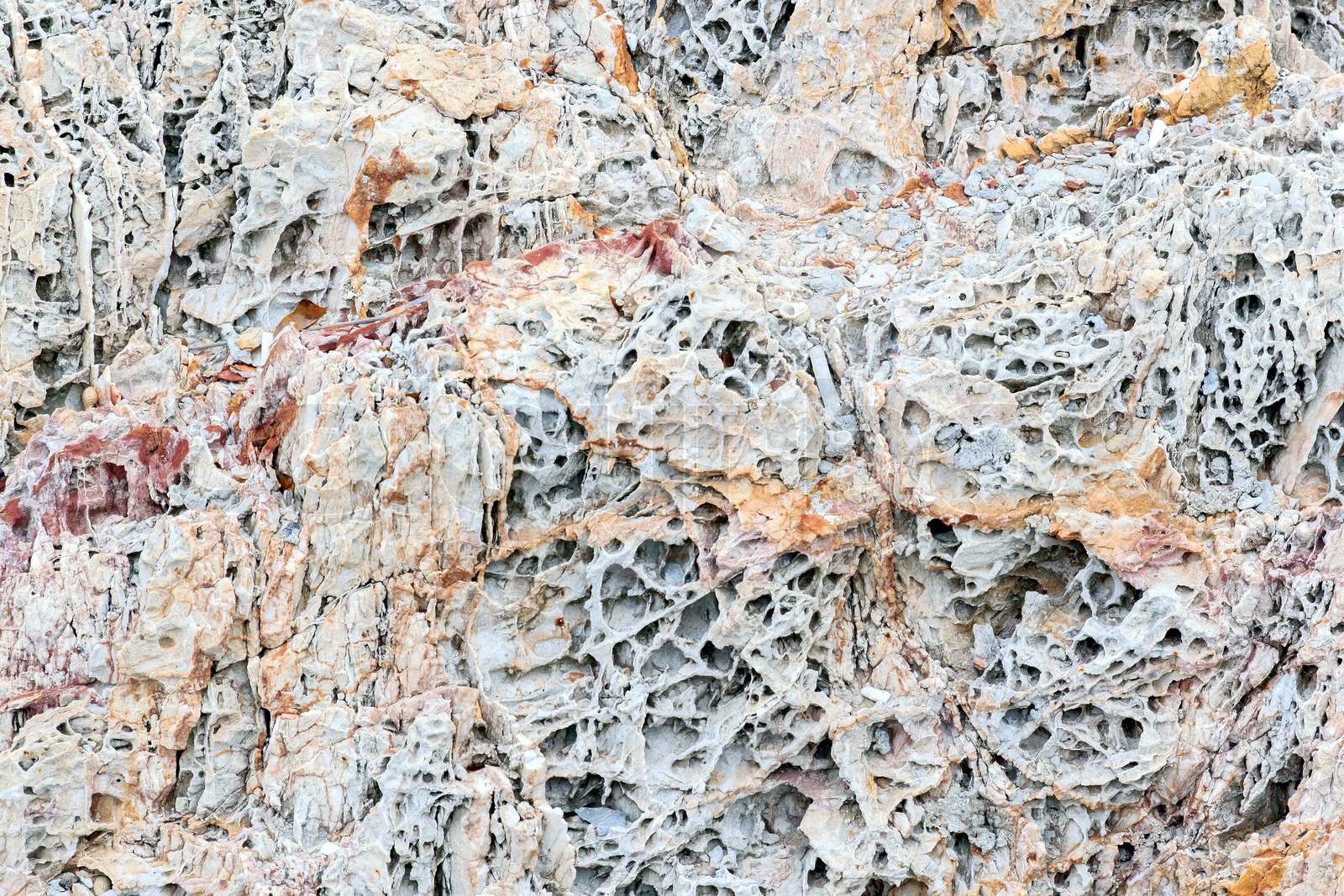 Coral rock | Stock image | Colourbox