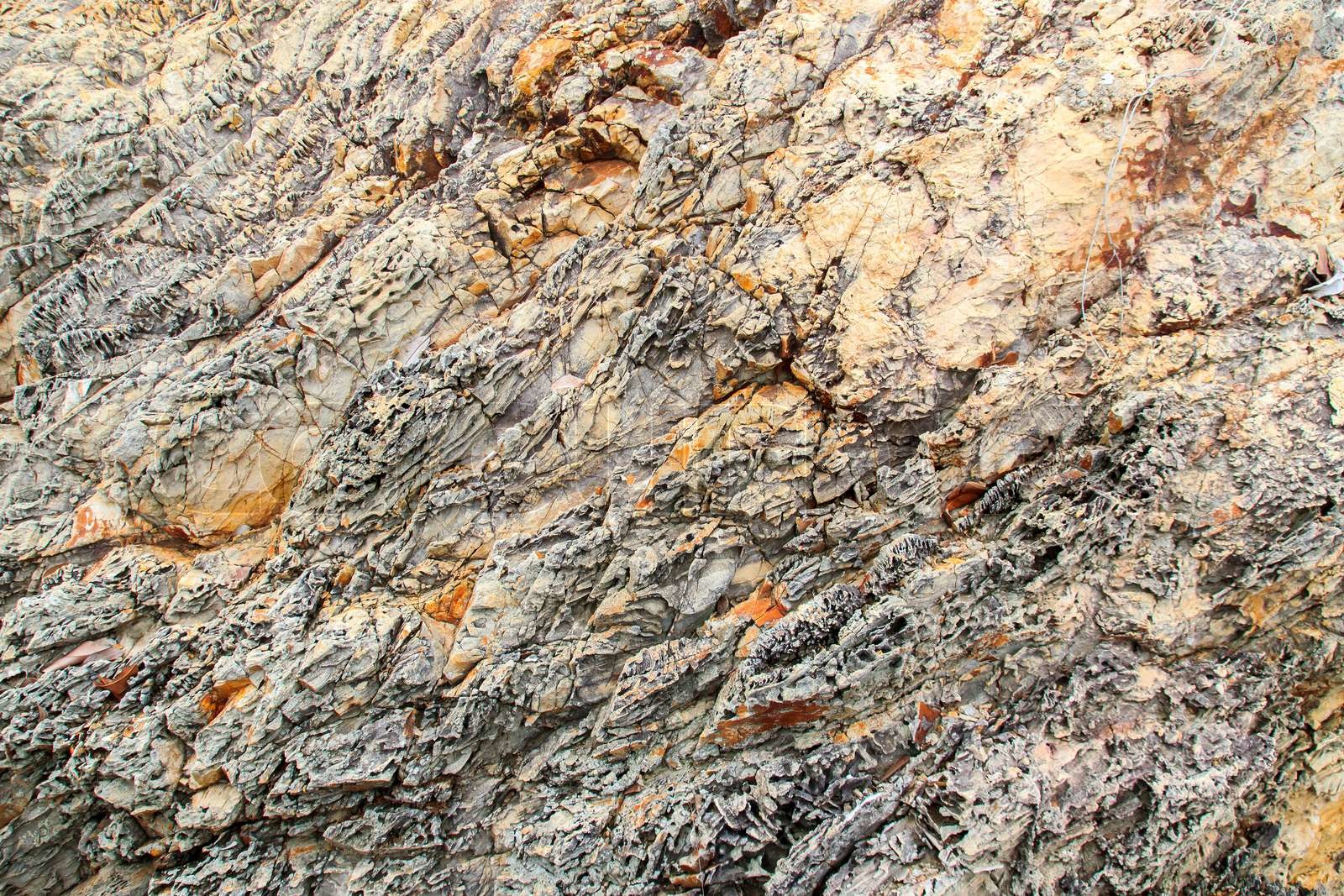 Coral rock | Stock image | Colourbox