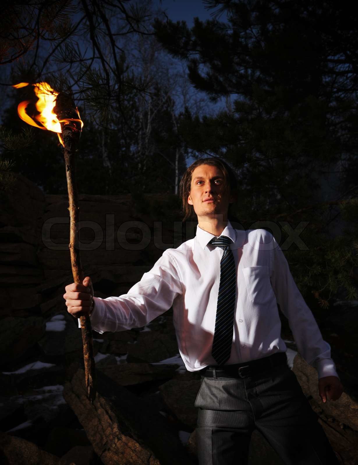 Brave leader | Stock image | Colourbox