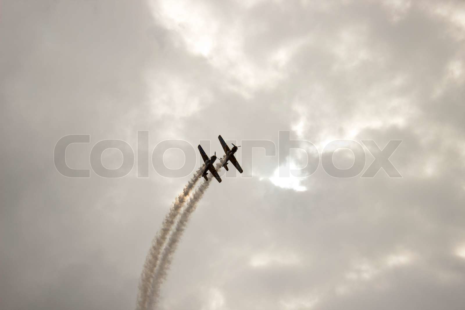 zwei Fliegen | Stock Bild | Colourbox