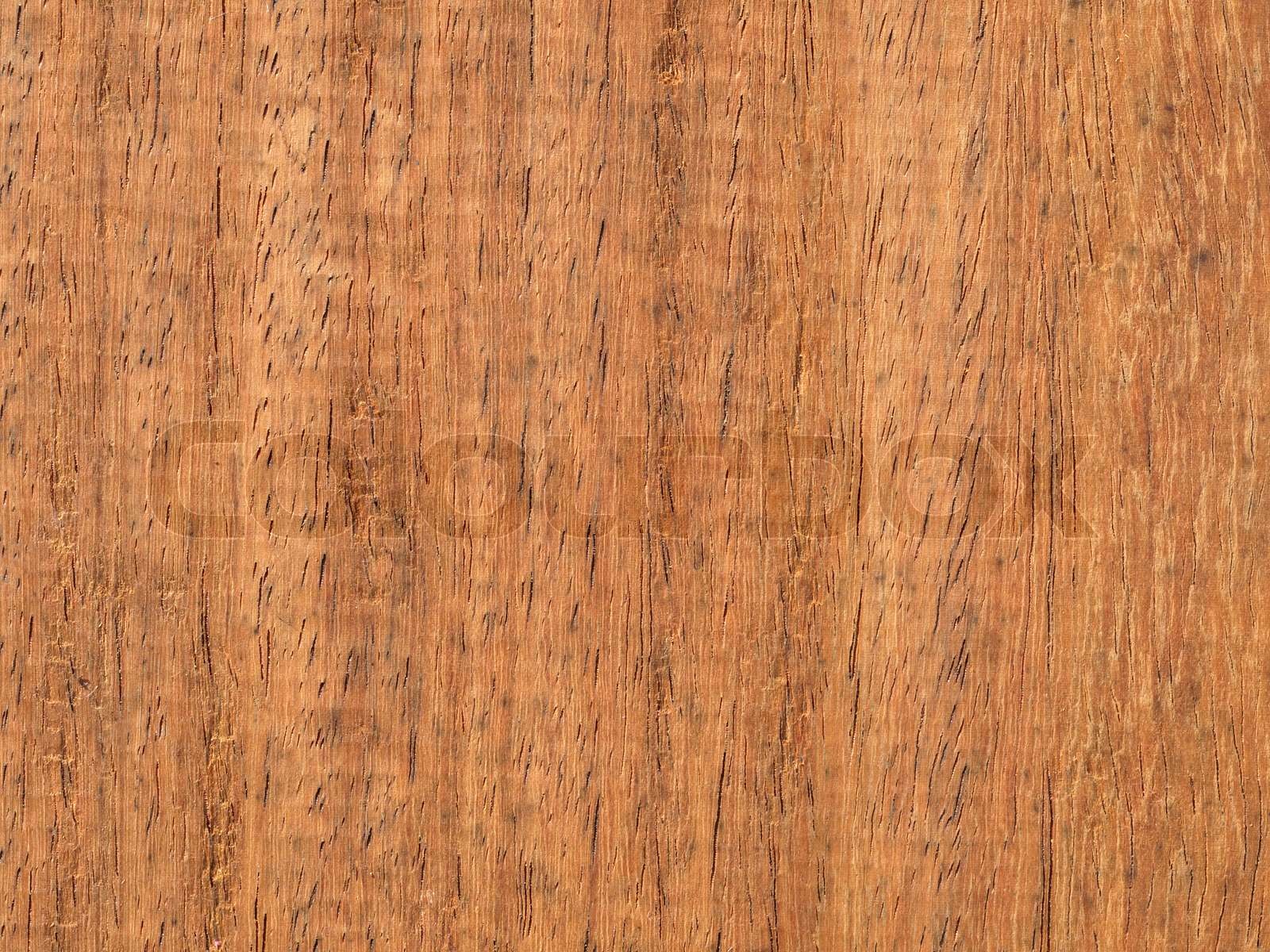 Rough wood texture | Stock image | Colourbox