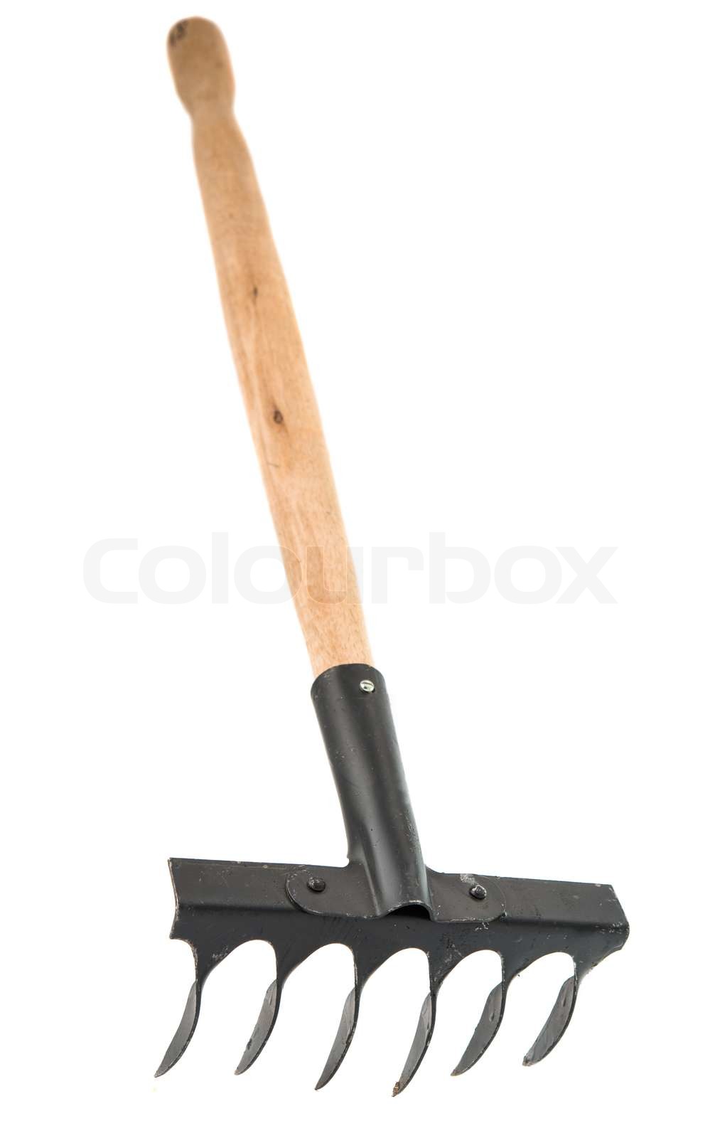 Garden rake is isolated | Stock image | Colourbox