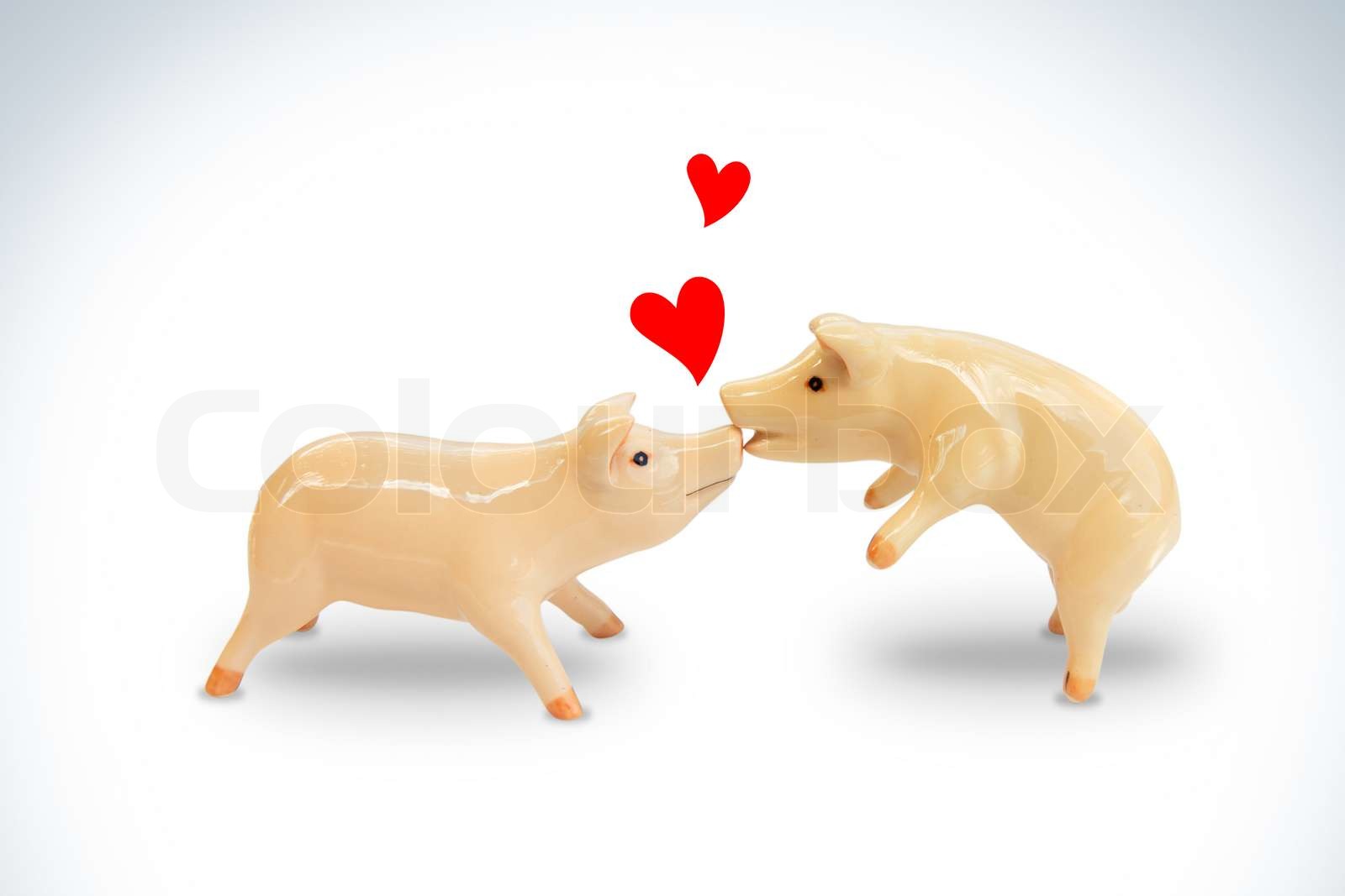 pigs in love | Stock image | Colourbox