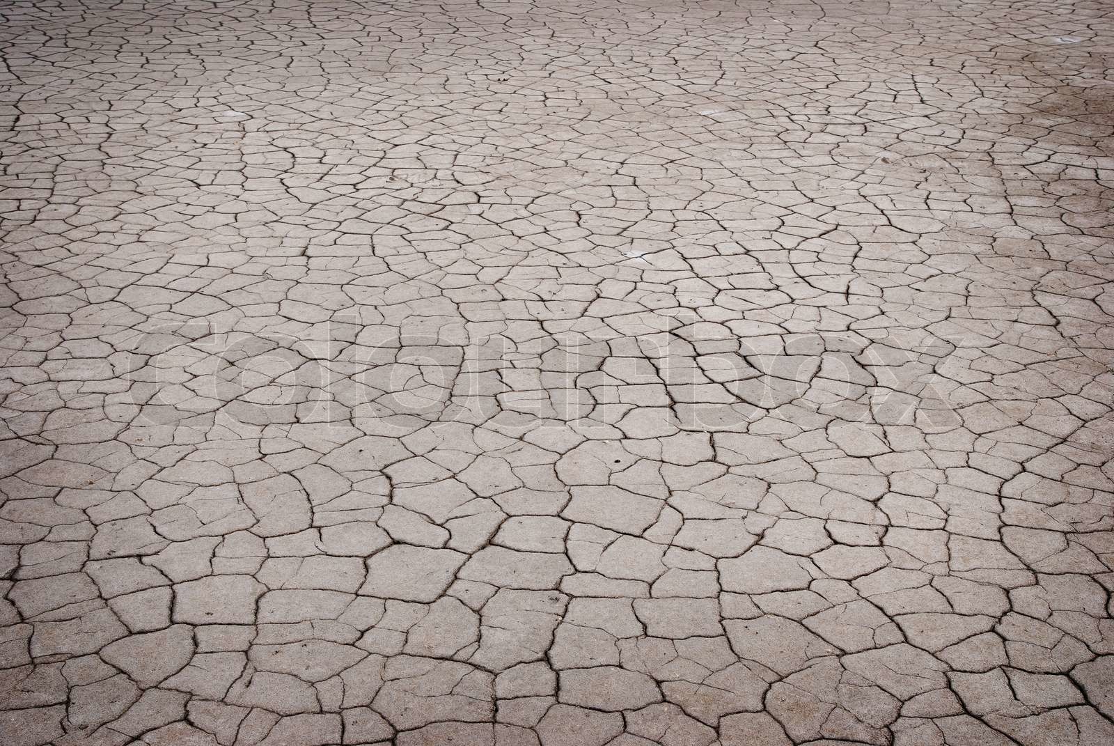 rissige Erde Textur | Stock Bild | Colourbox