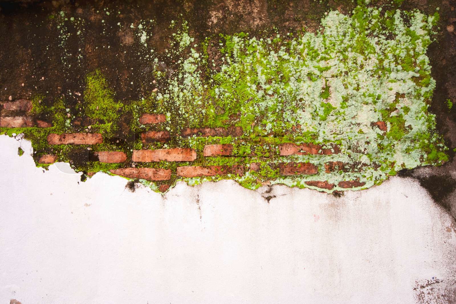 Alt bemoosten Mauer in Thailand, Background Texture | Stock Bild ...