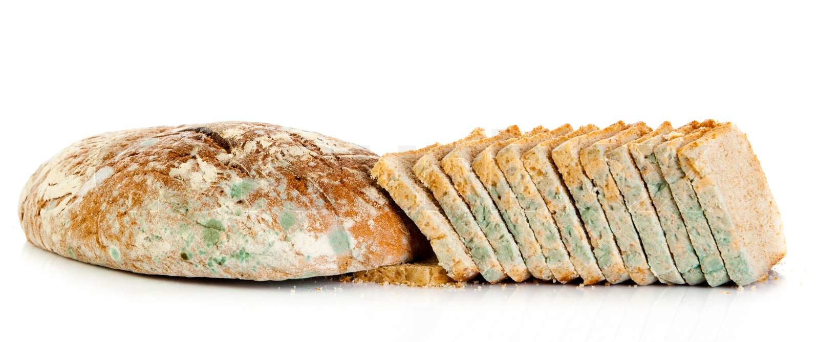 Mold on bread Mouldy bread, isolated on a white background | Stock ...