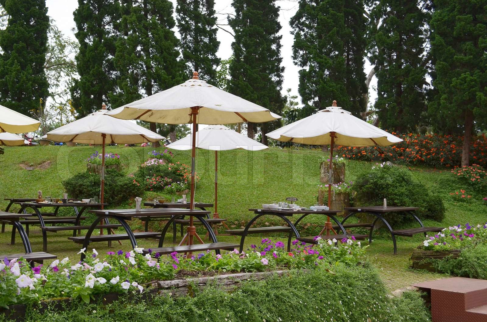 exterior of an outdoor garden restaurant | Stock image | Colourbox