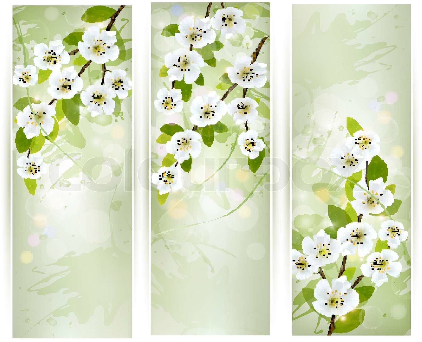 Three banners with blossoming tree branches. Vector illustration ...