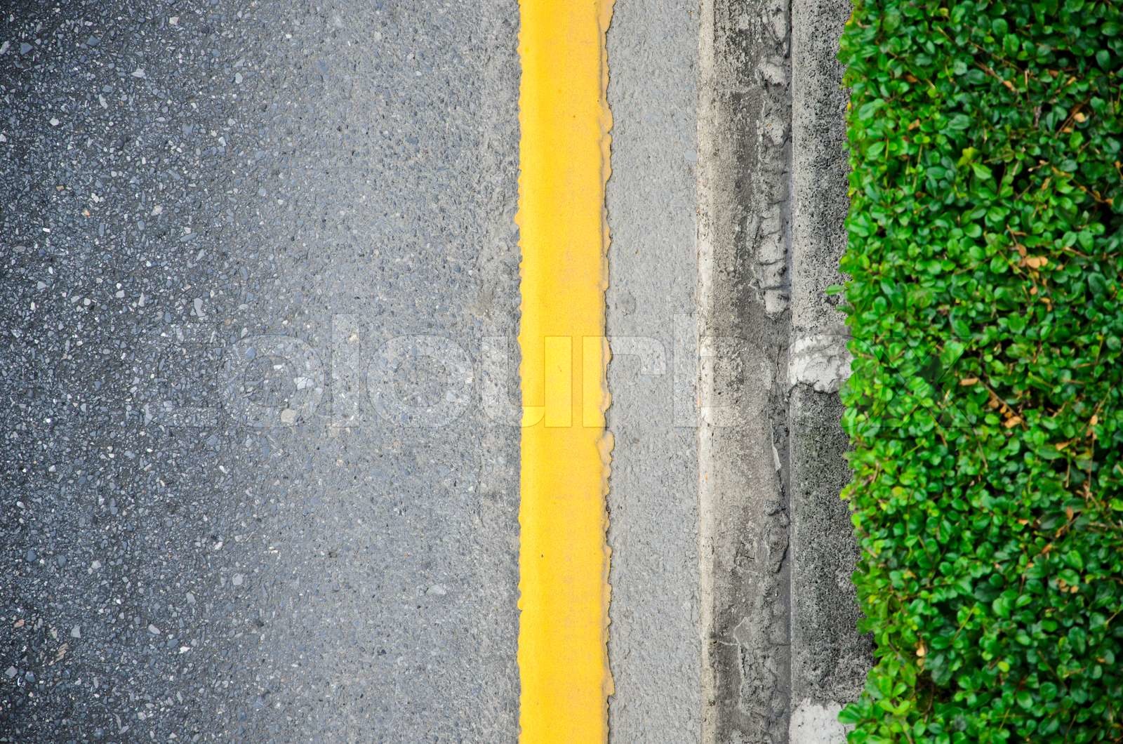 Asphalt road with green plant border | Stock image | Colourbox