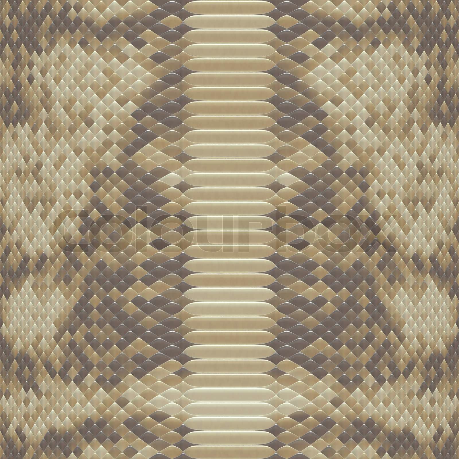 Snakeskin pattern | Stock image | Colourbox