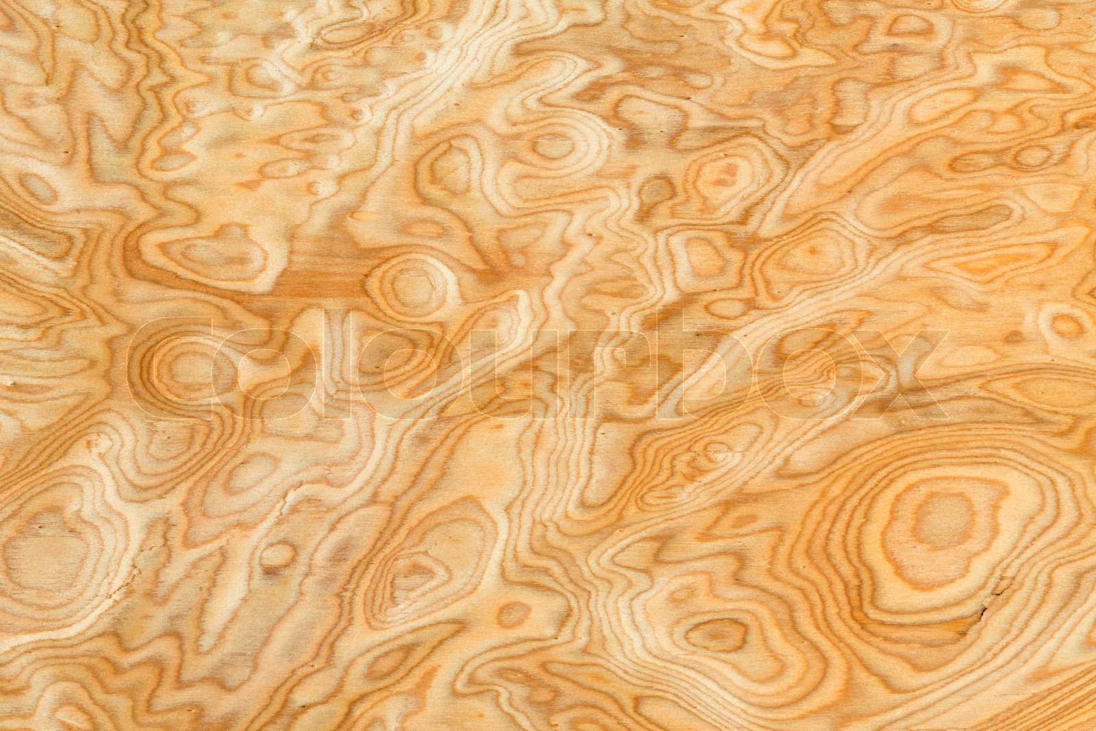 Real wood grain texture | Stock image | Colourbox