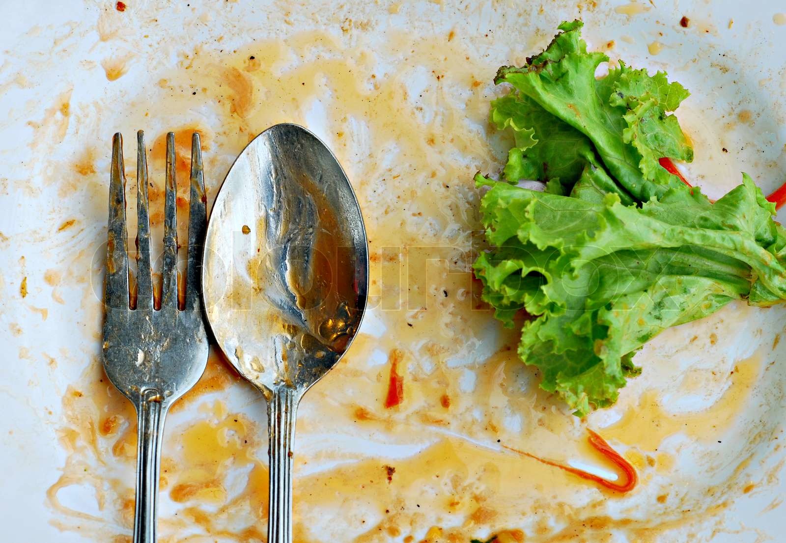 finished eating | Stock image | Colourbox