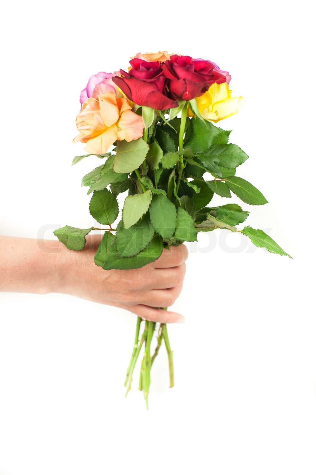 Flower bouquet in a hand | Stock image | Colourbox