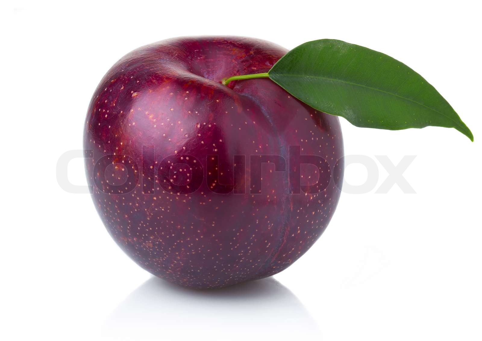 Ripe purple plum fruit with green leaves isolated | Stock image | Colourbox