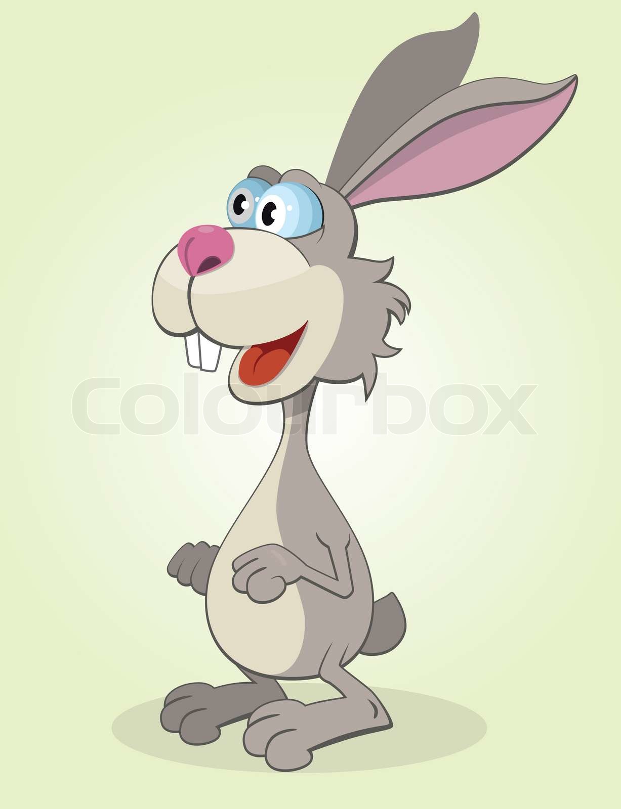 kanin | Stock vektor | Colourbox