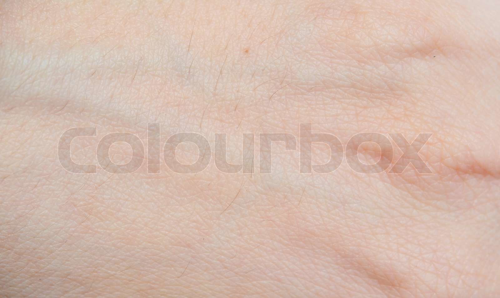 der menschlichen Haut | Stock Bild | Colourbox