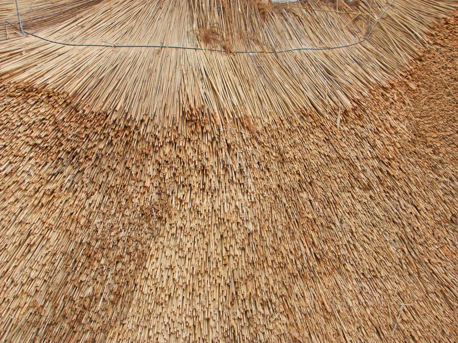 Thatching | Stock image | Colourbox