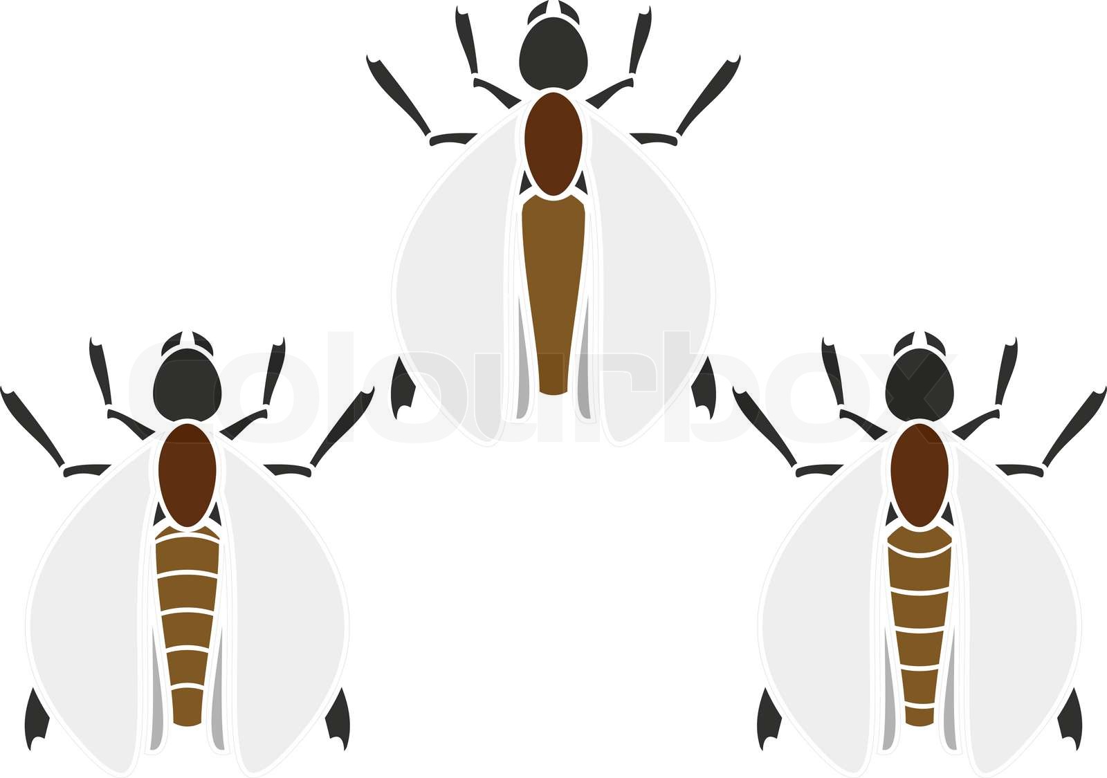 set of insects stencils second varianteps | Stock vector | Colourbox