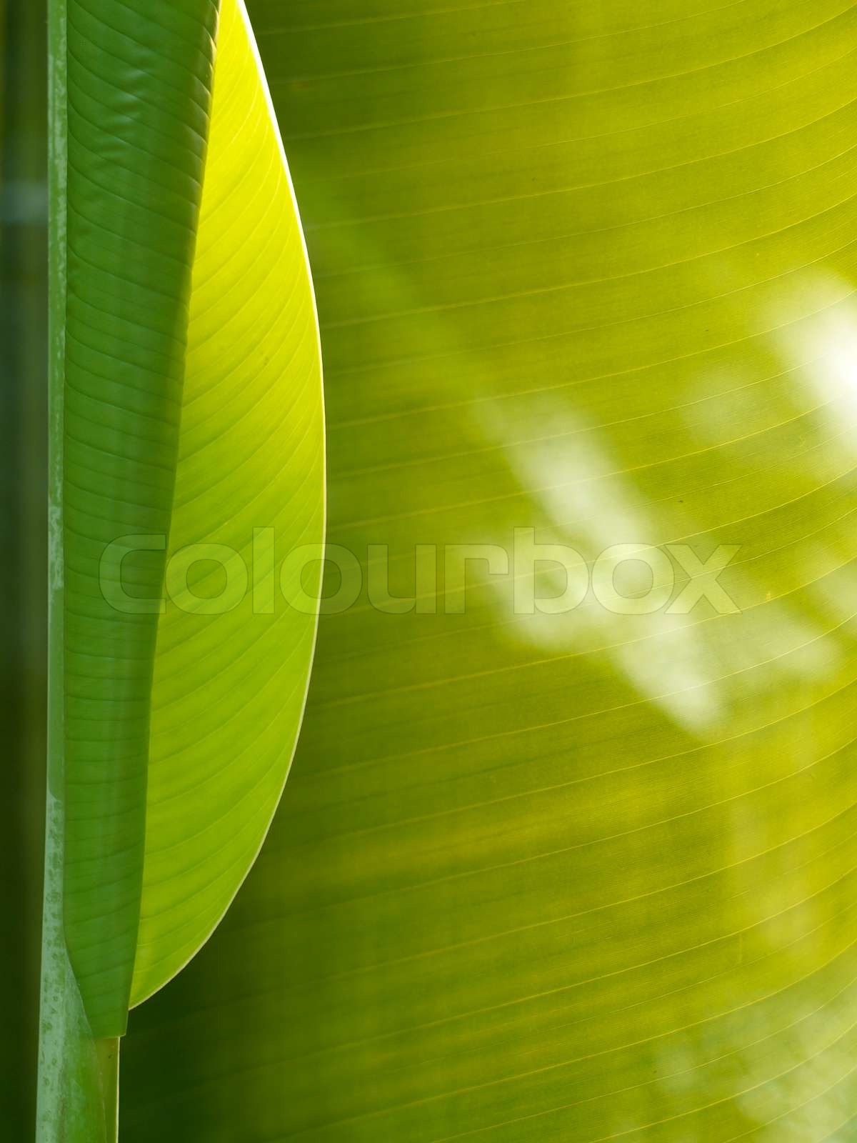 ecology cover design | Stock image | Colourbox