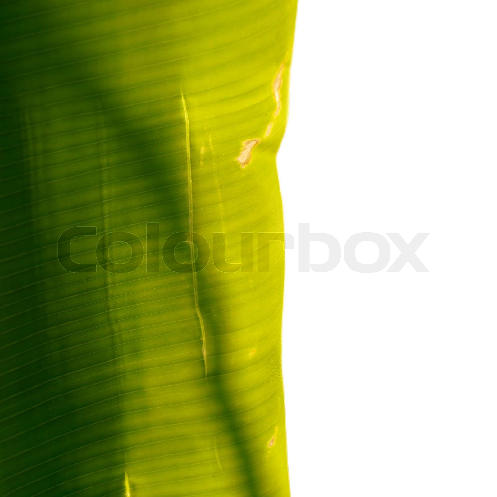 ecology cover design | Stock image | Colourbox
