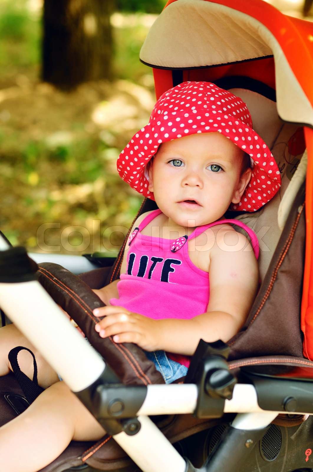 cutie | Stock image | Colourbox