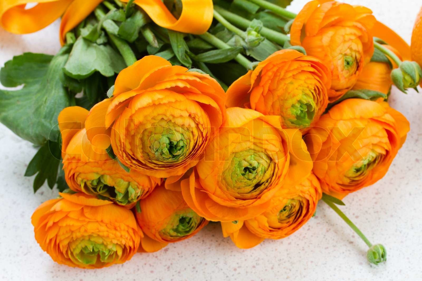 Orange Ranunculus Bouquet