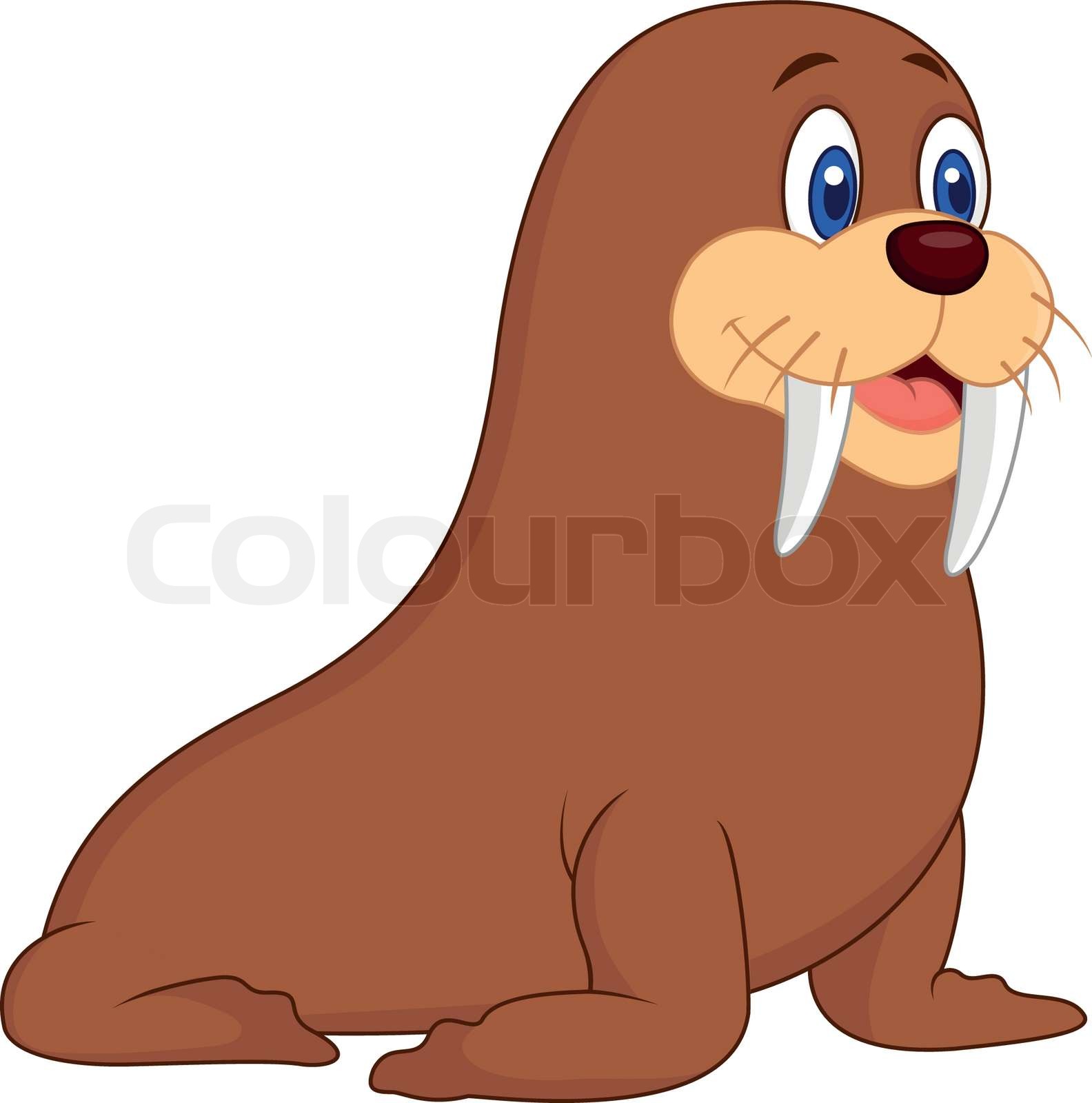 Cute walrus cartoon | Stock vector | Colourbox