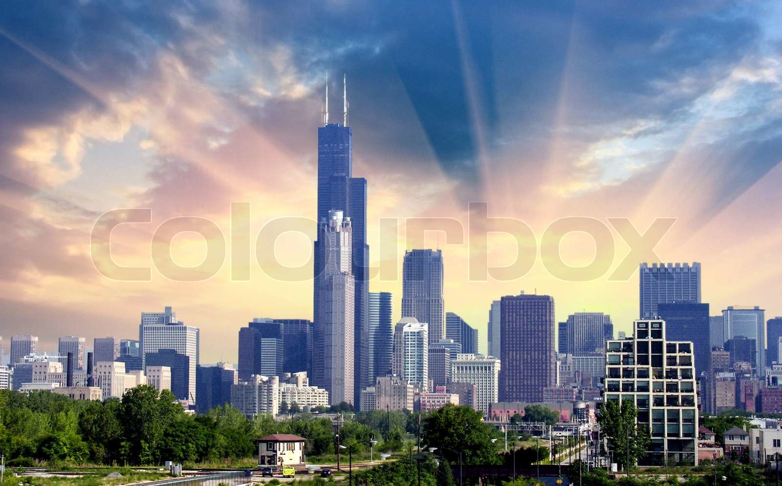 Chicago Beautiful skyline with vegetation and skyscrapers | Stock image ...