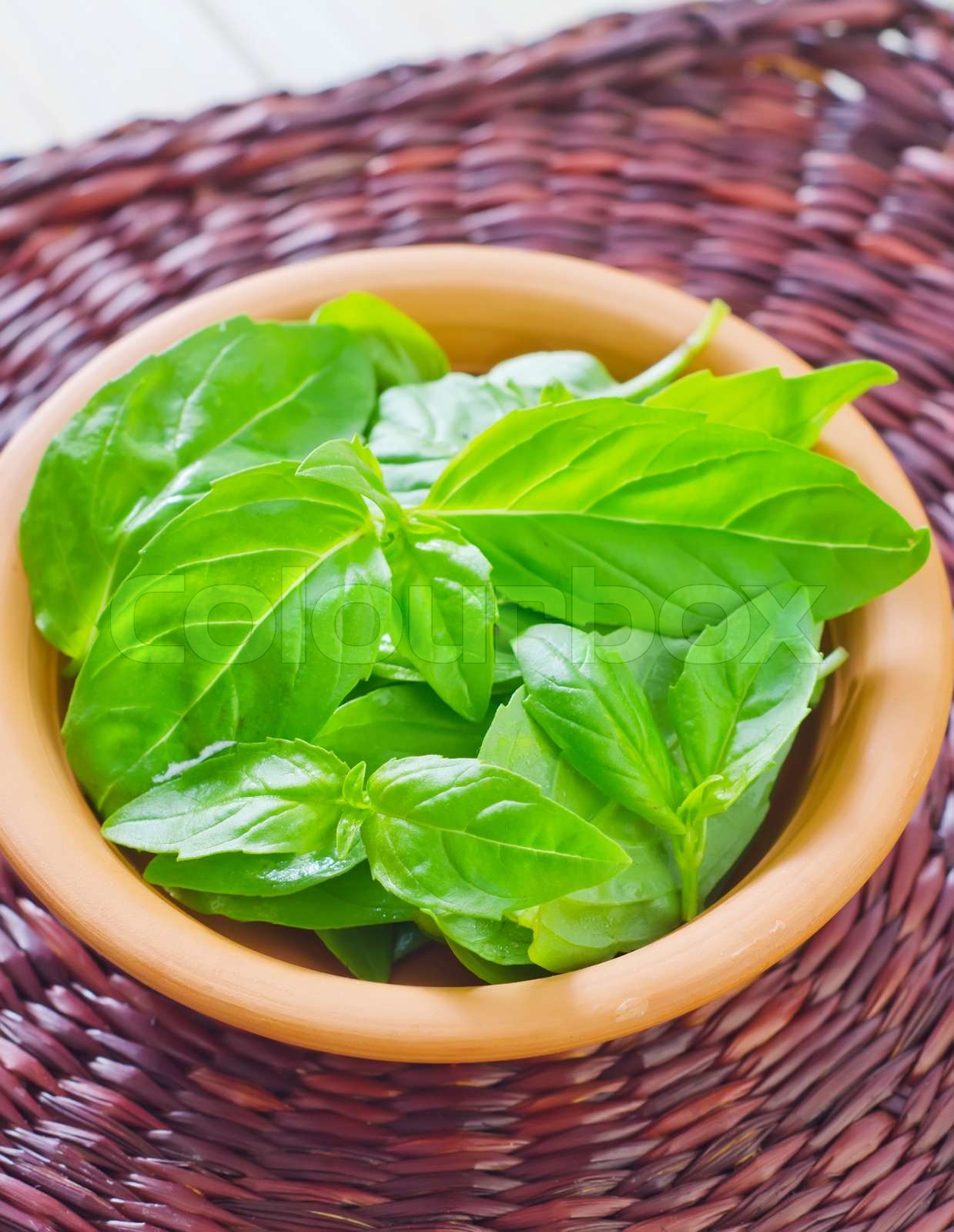 fresh basil | Stock image | Colourbox