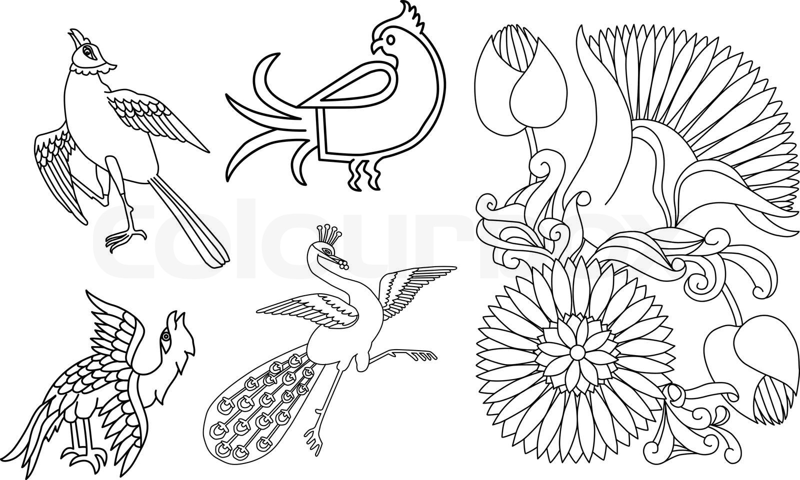 Indian bird motifs | Stock vector | Colourbox