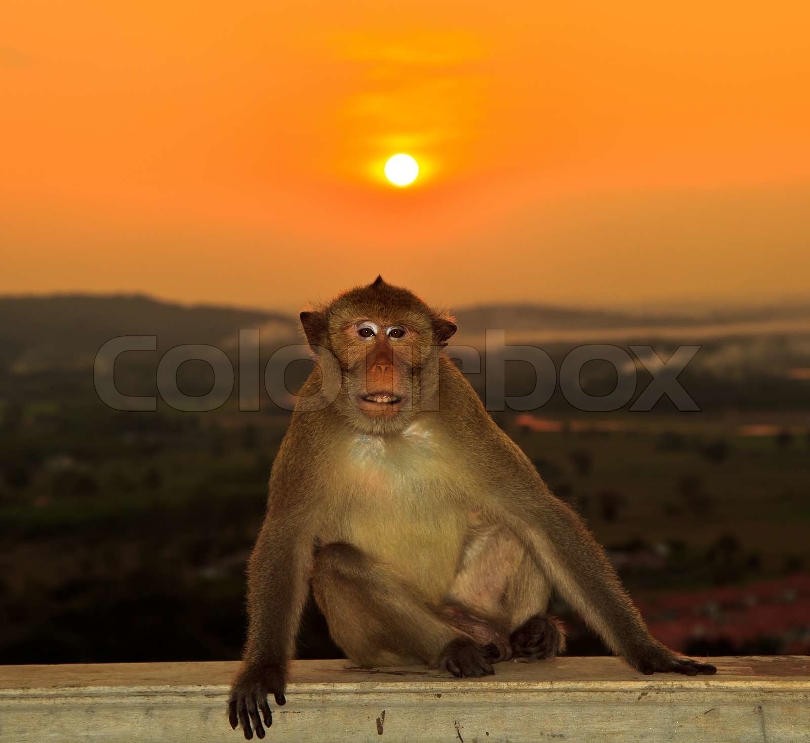 abe | Stock foto | Colourbox