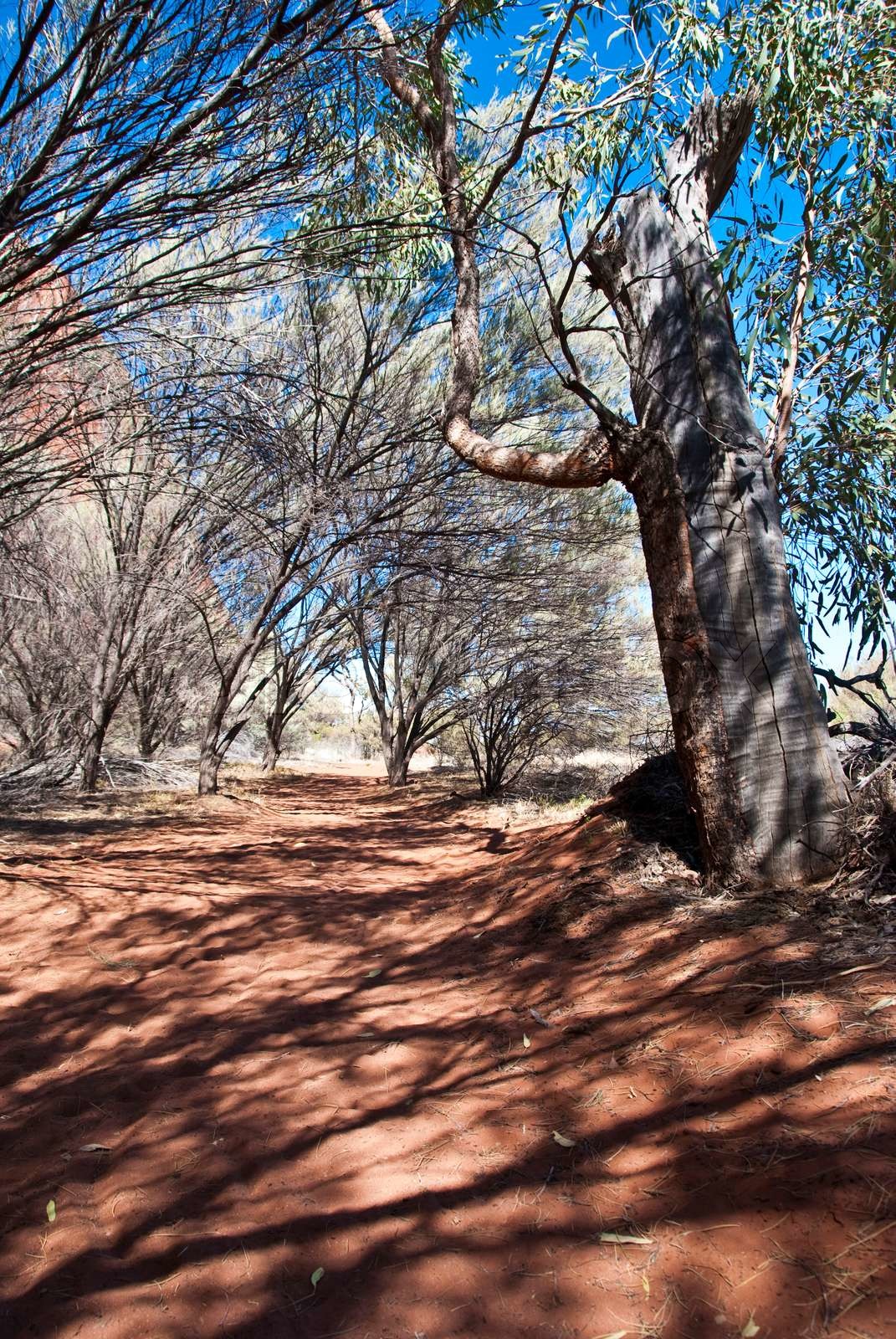 Australian Outback, Northern Territory, Australia | Stock image | Colourbox