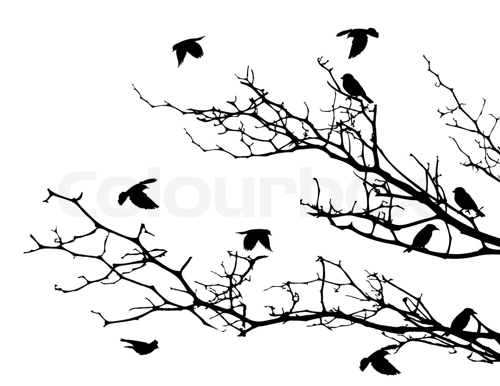 Tree Silhouette With Birds