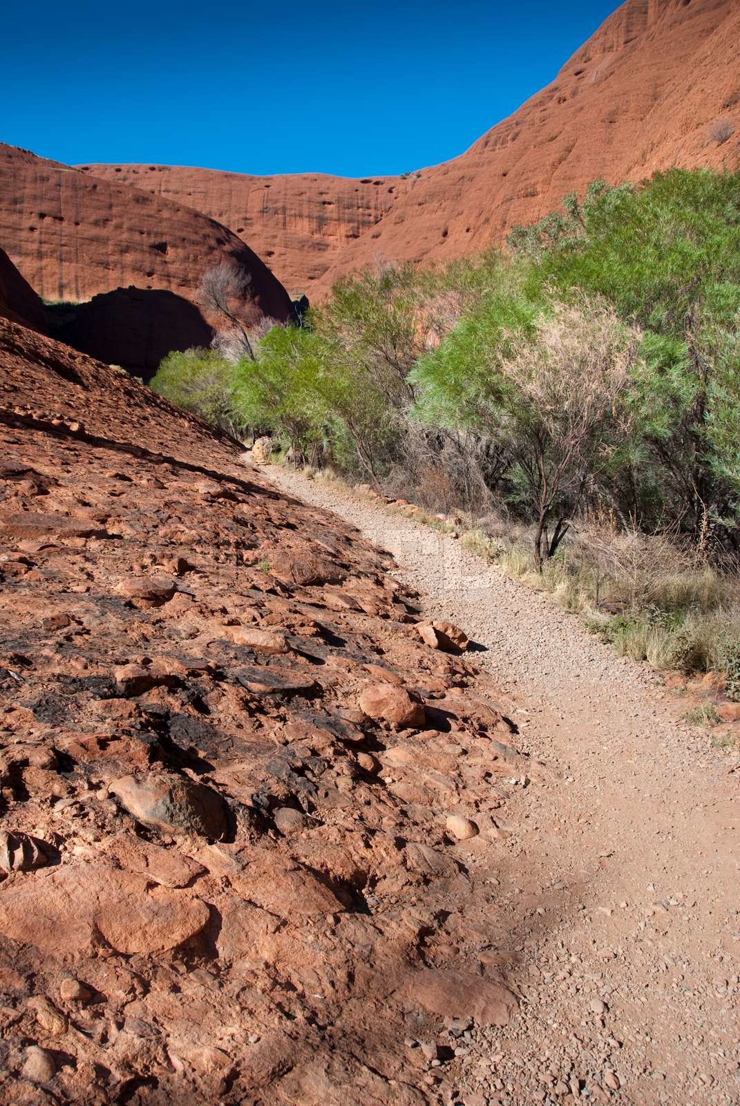 Australian Outback | Stock image | Colourbox