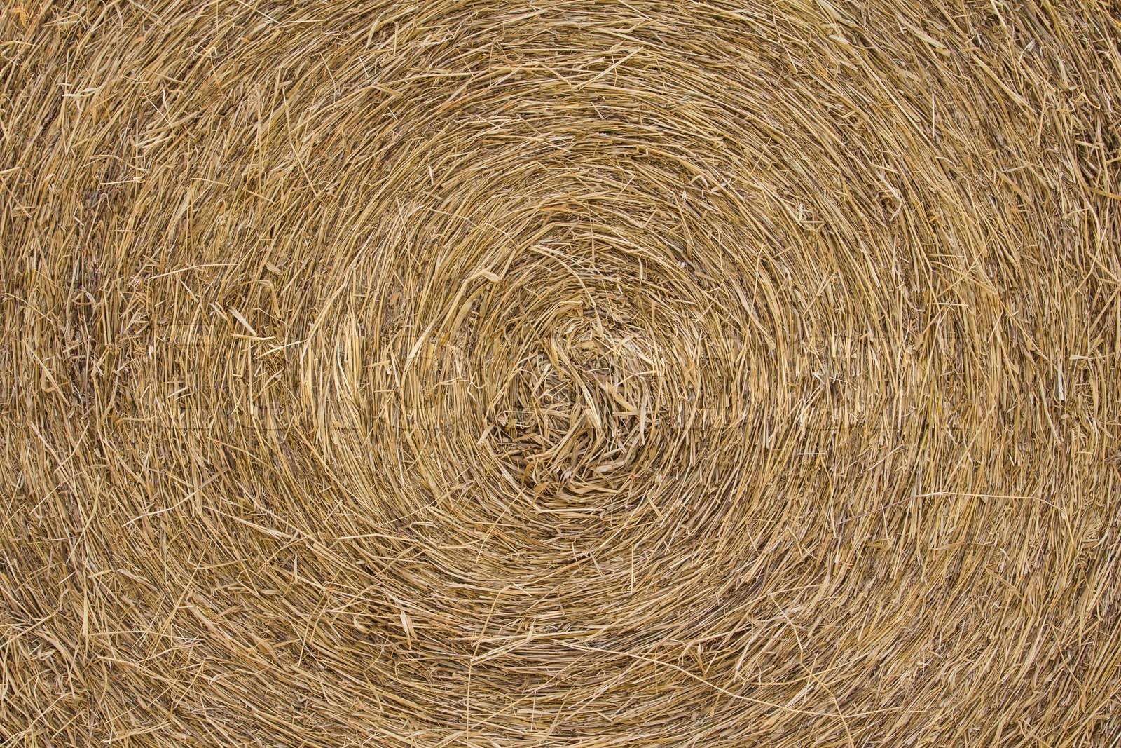 straw | Stock image | Colourbox