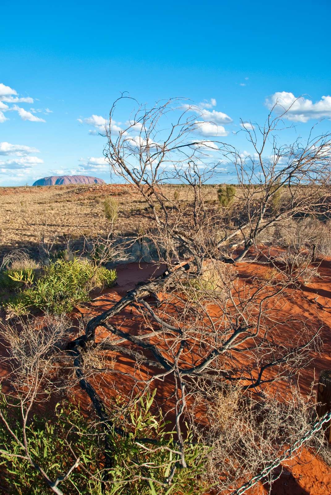 Australian Outback, Northern Territory, Australia | Stock image | Colourbox