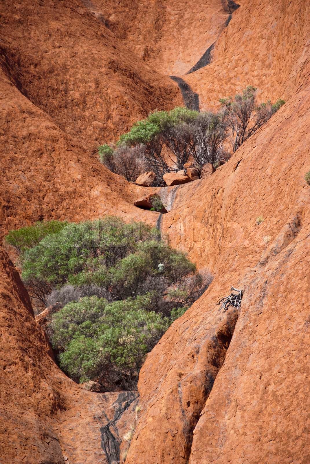 Australian Outback, Northern Territory, Australia | Stock image | Colourbox