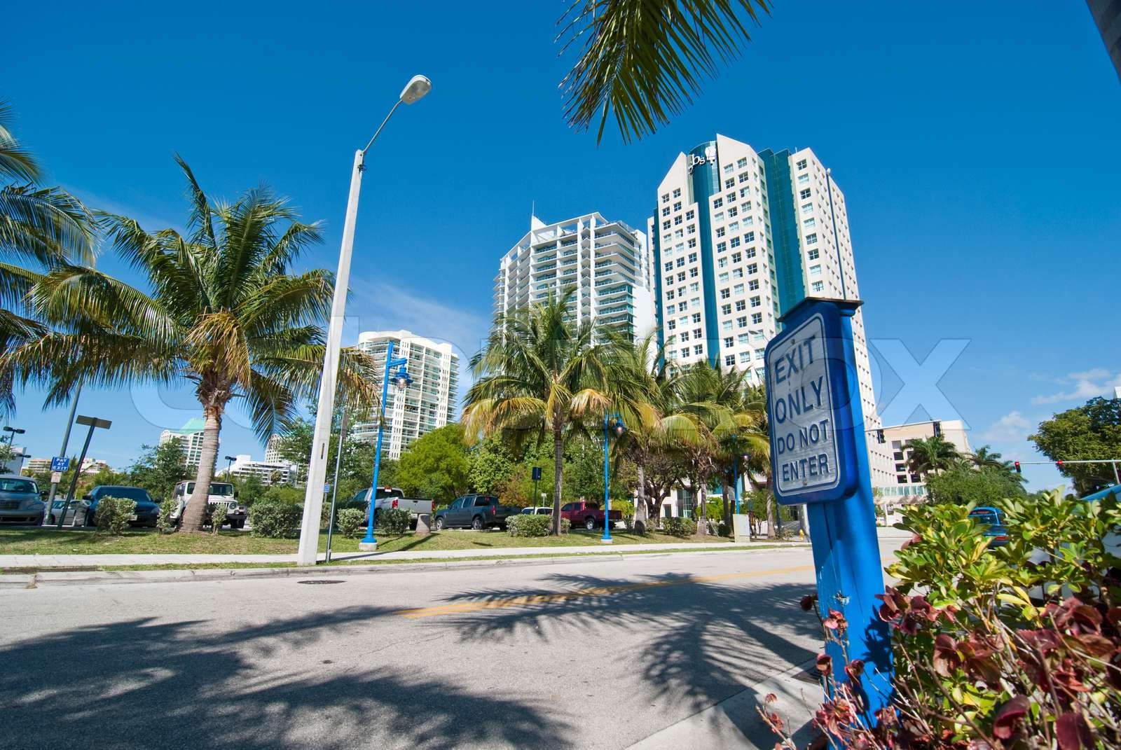 Park in Miami, Florida | Stock image | Colourbox