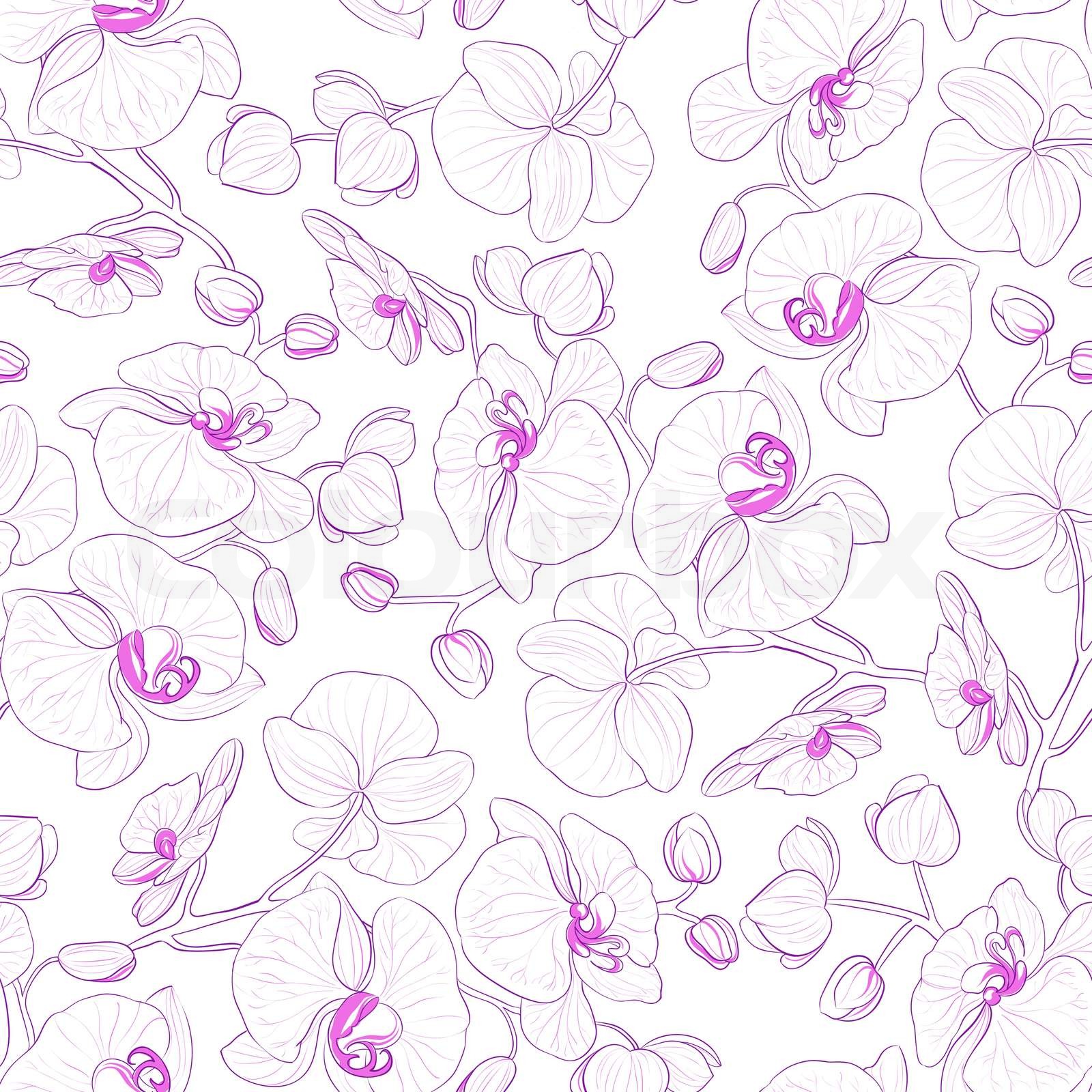Orchid seamless pattern | Stock vector | Colourbox