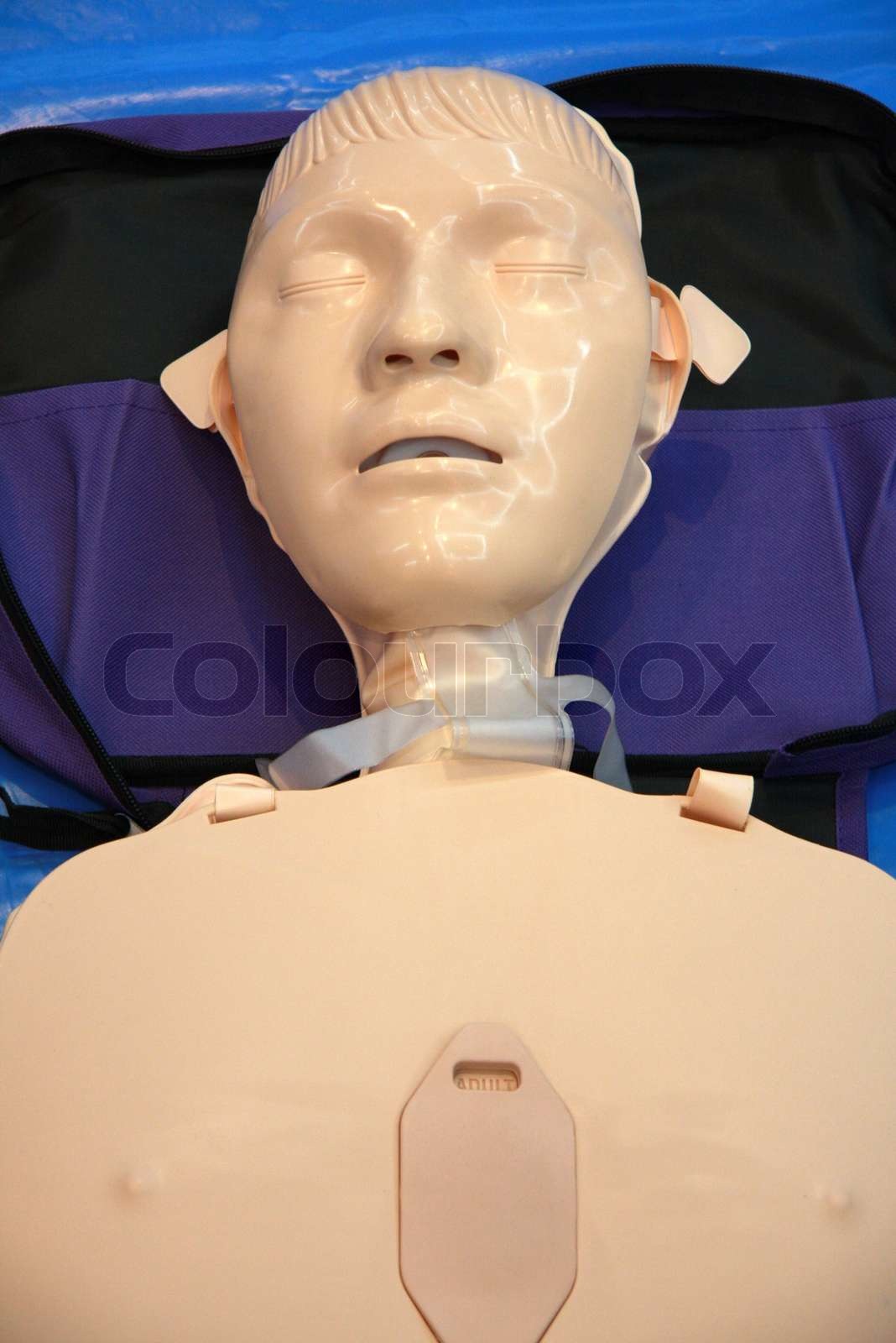 Cpr Doll Training Stock Image Colourbox