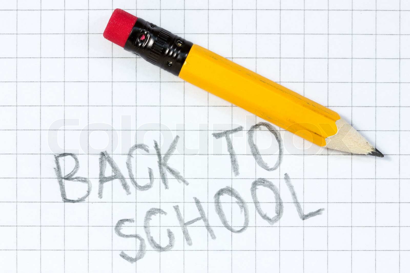 "Back to school" written on a squared | Stock image | Colourbox