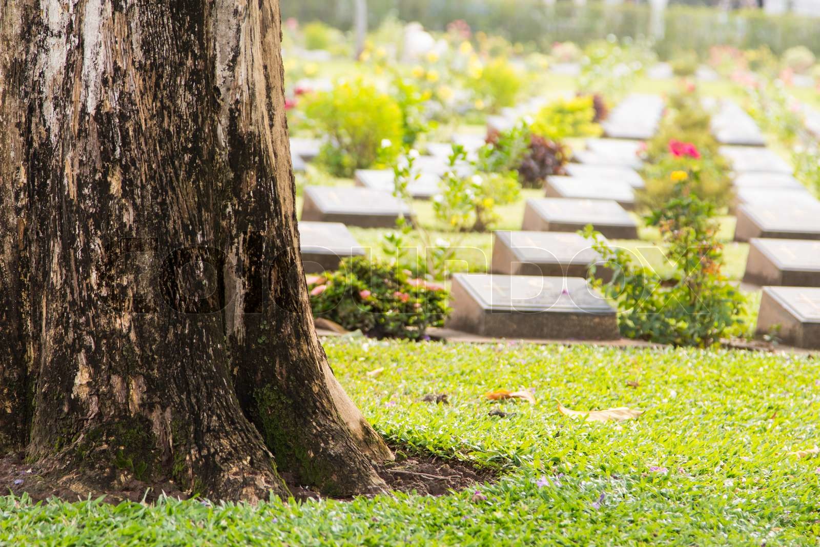 Grabstein | Stock Bild | Colourbox