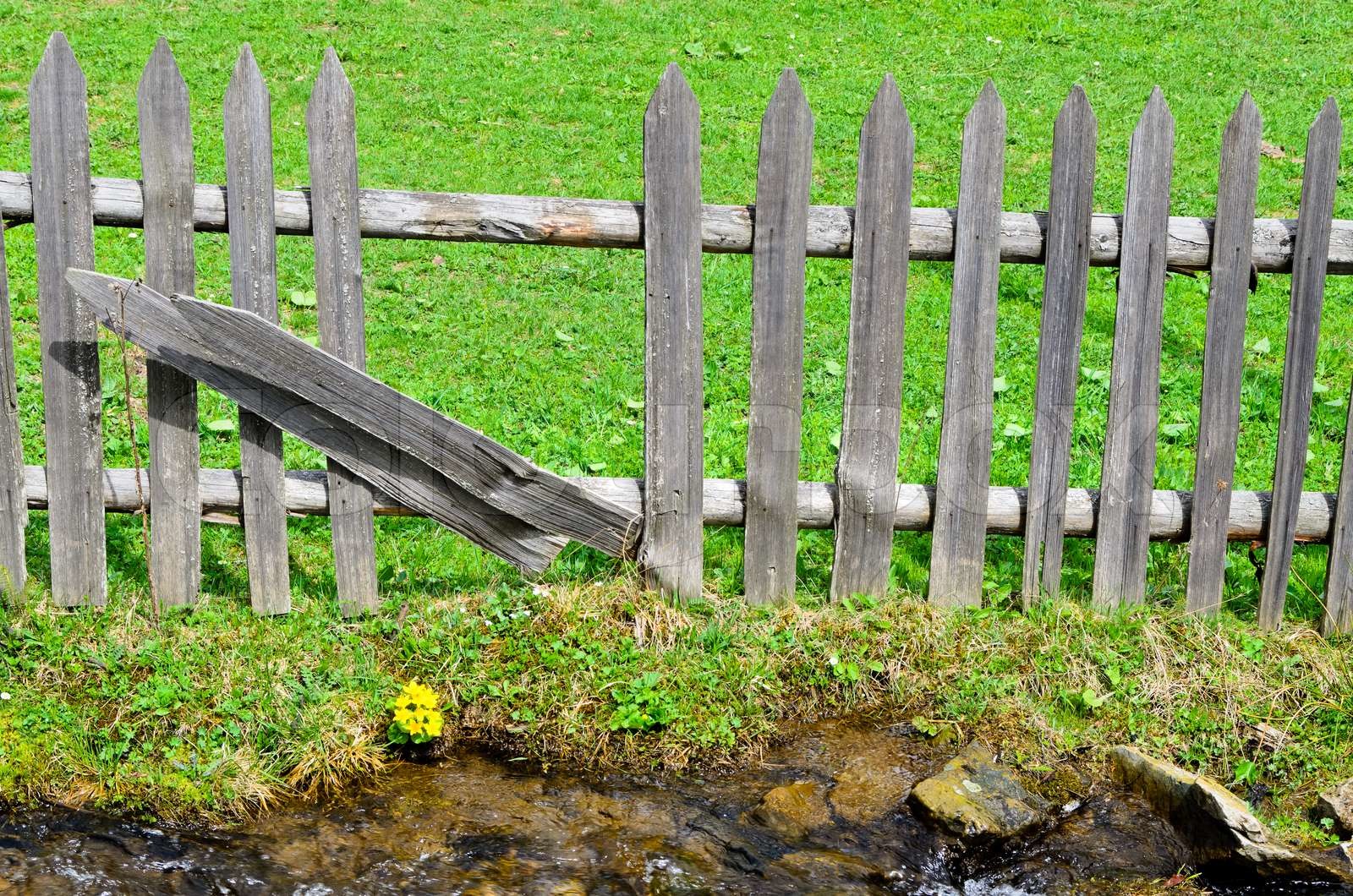 Wooden palisade fencing | Stock image | Colourbox