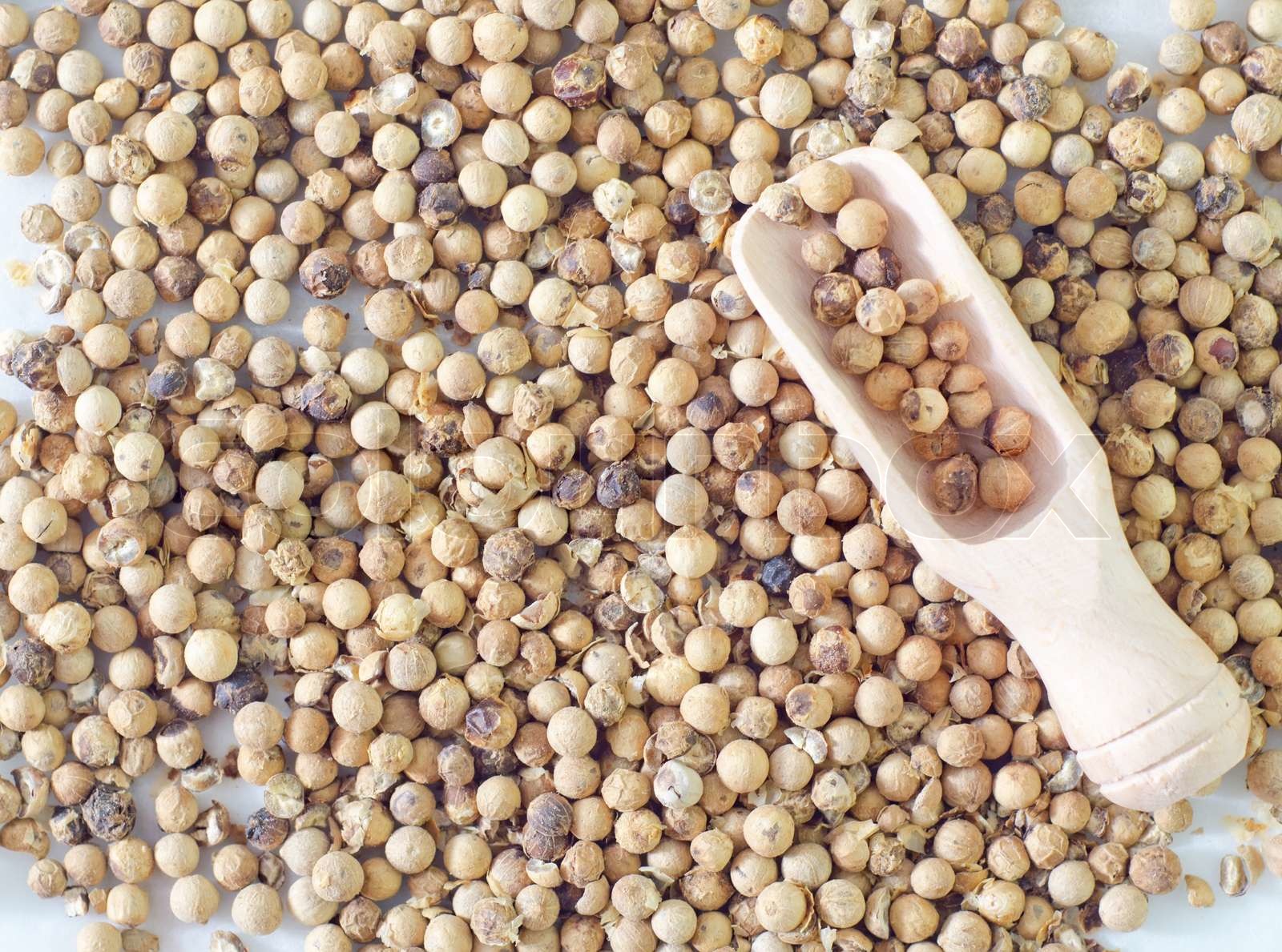 hvid peber | Stock foto | Colourbox