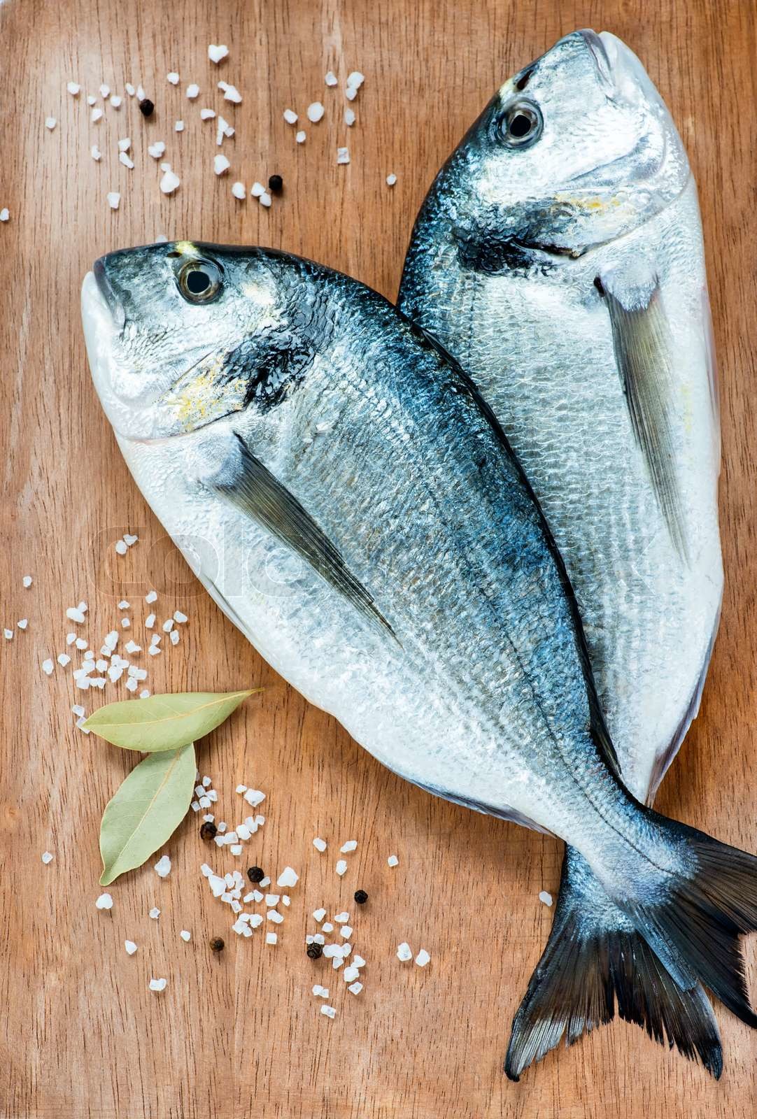 Fresh dorada fish with sea salt and bay leaf | Stock image | Colourbox