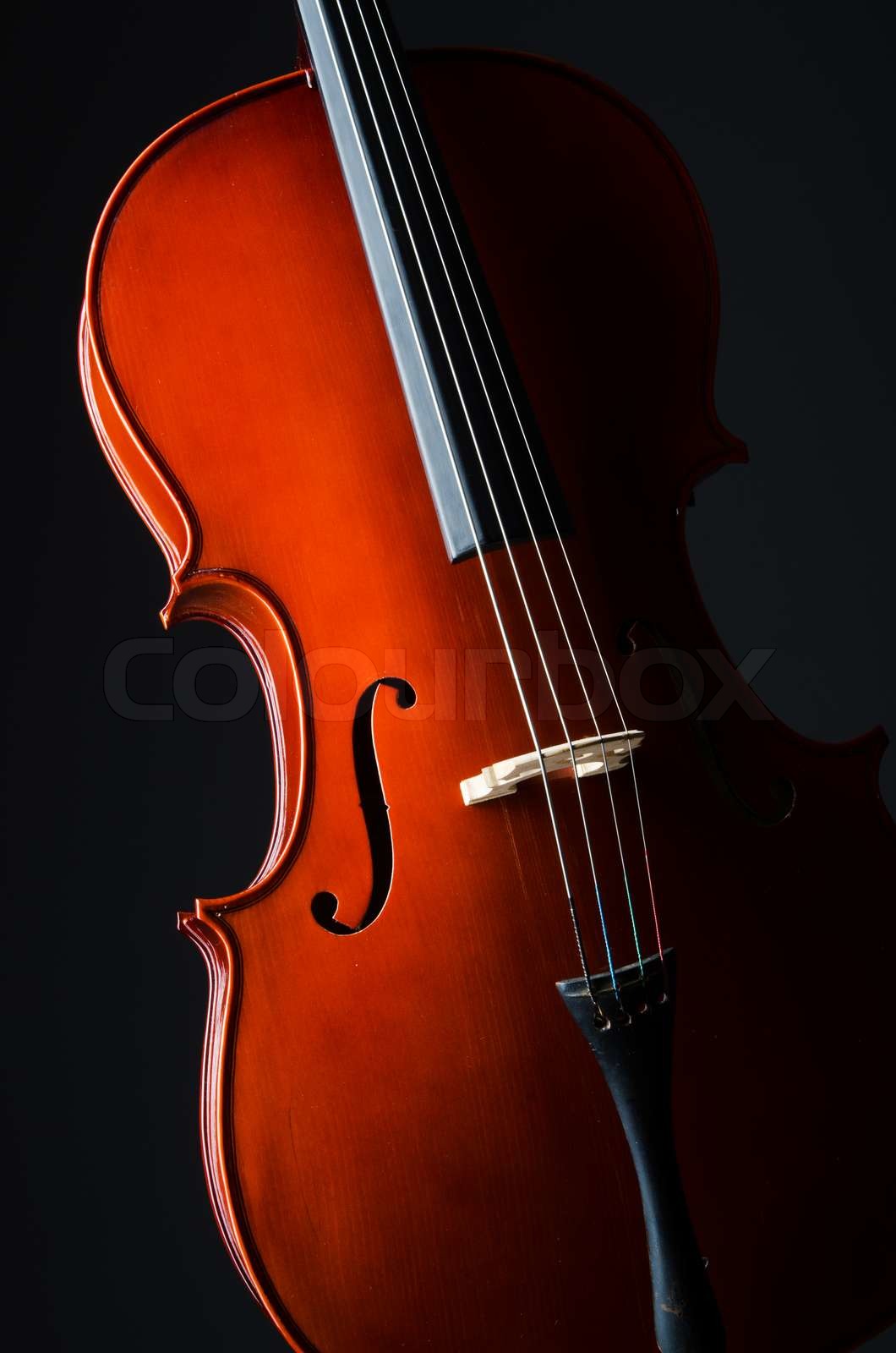 Violin on the black background | Stock image | Colourbox