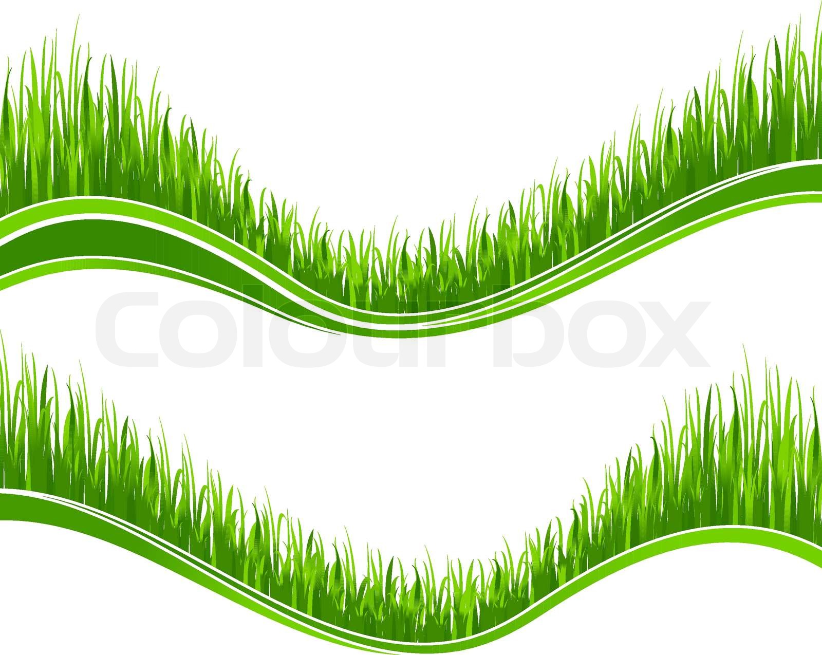 Two waves of green grass | Stock vector | Colourbox