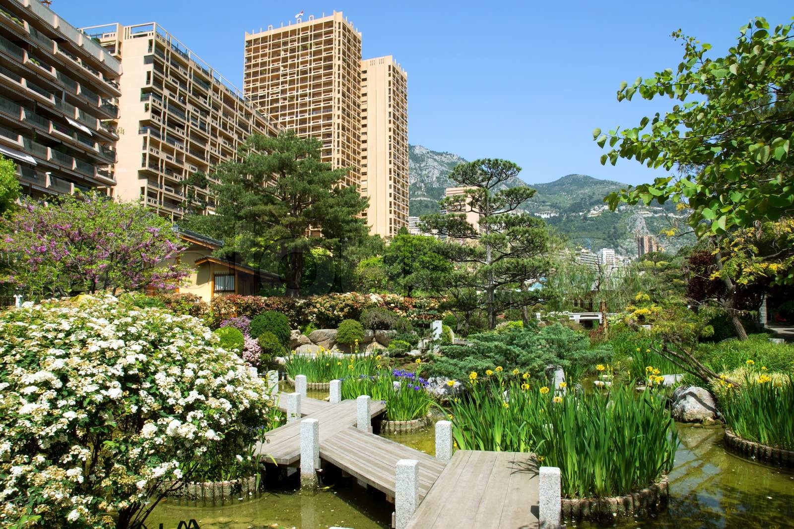 Monaco - Japanese garden | Stock image | Colourbox