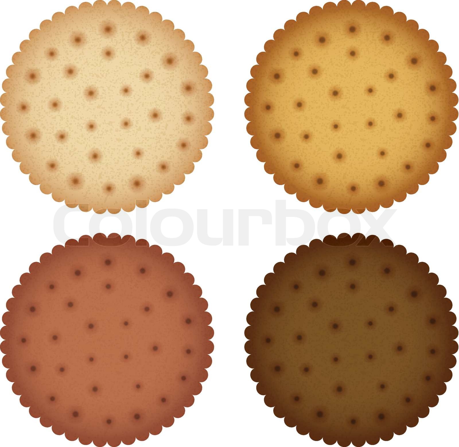 Biskuit-Plätzchen- Cracker Sammlung Vector EPS10 | Stock-Vektor | Colourbox