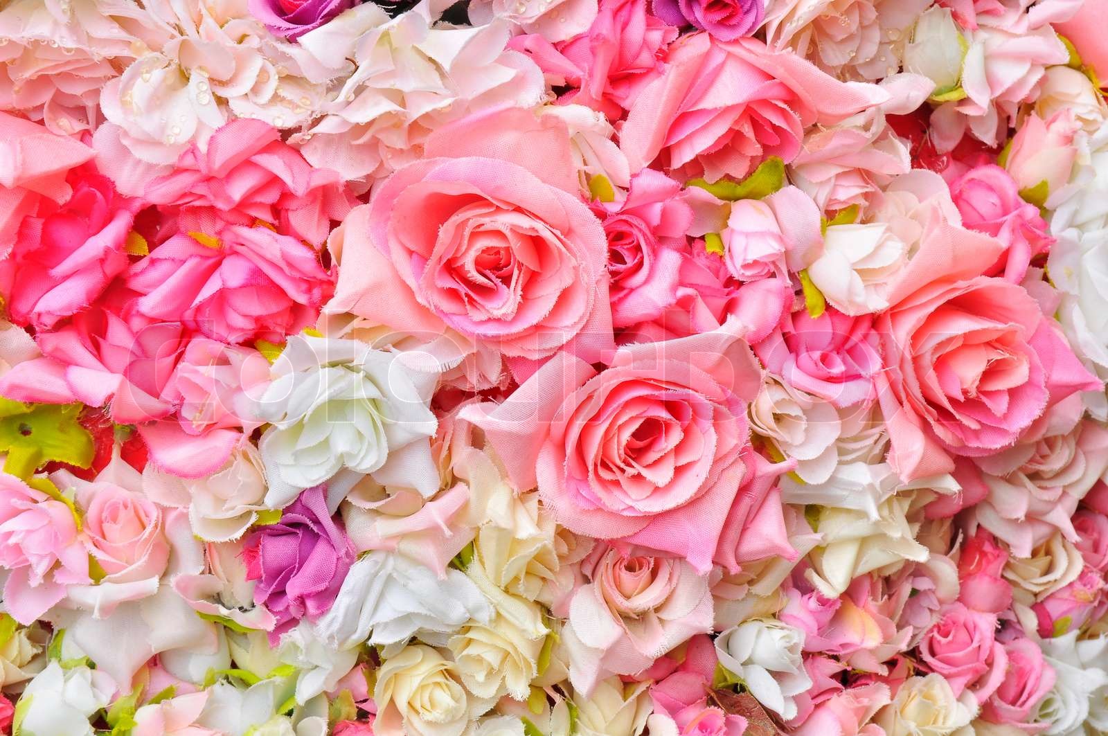 Artificial flowers background | Stock image | Colourbox